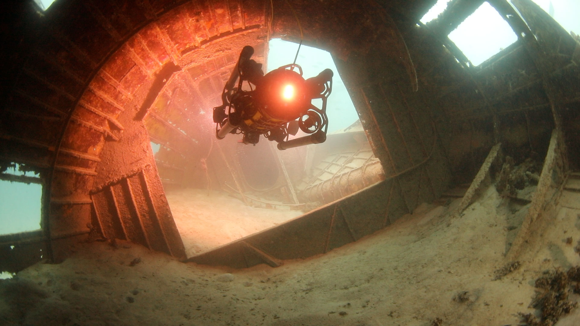 Boxfish Robotics Press Releases