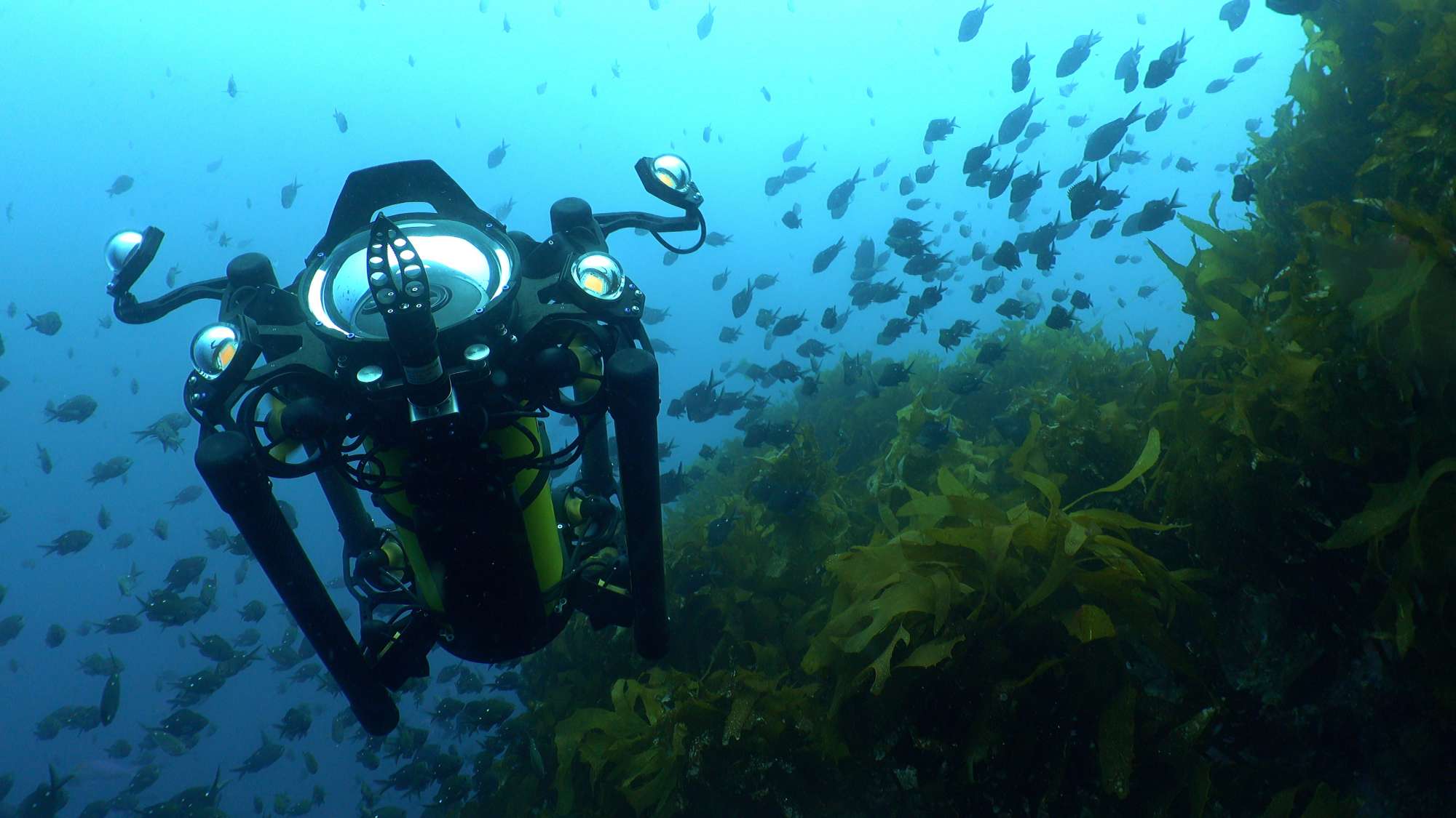 Grabber - Boxfish ROV Accessories