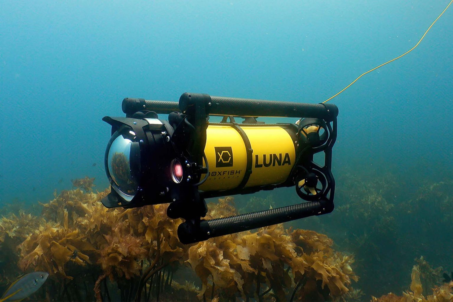 ROV Development | Boxfish Luna features and optics - Underwater Drone