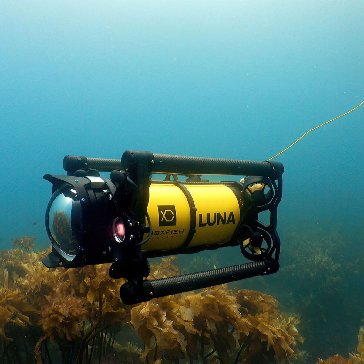 How to Choose the Best ROV - Boxfish Robotics