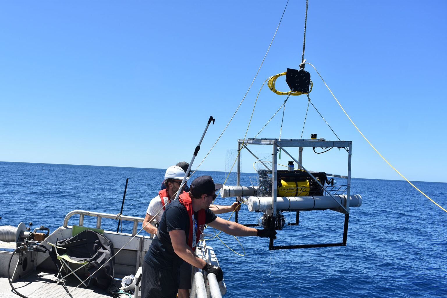 ROV Survey of Deep Sea Ecosystem with Boxfish ROV