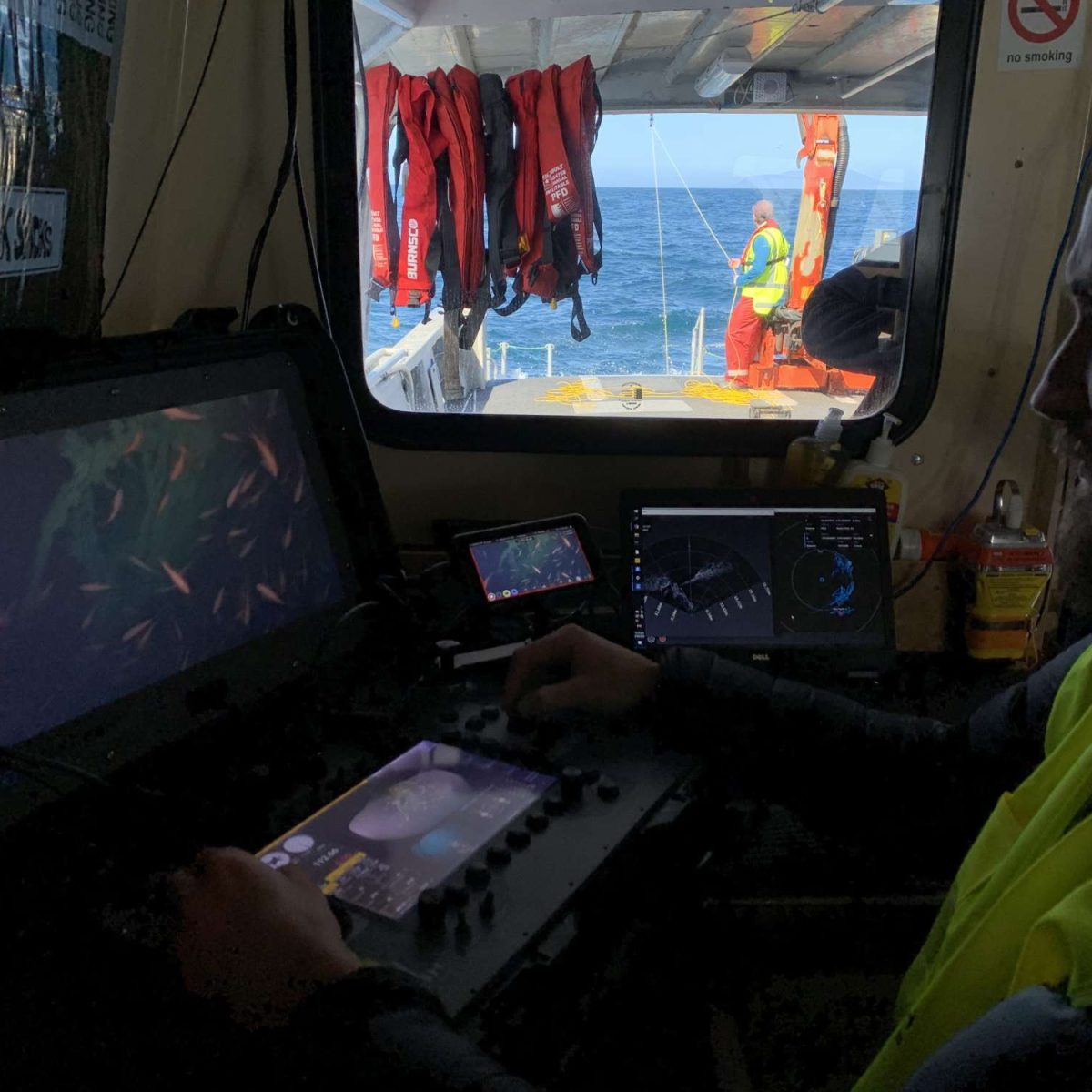 RMS Niagara shipwreck History and Environmental Challenges