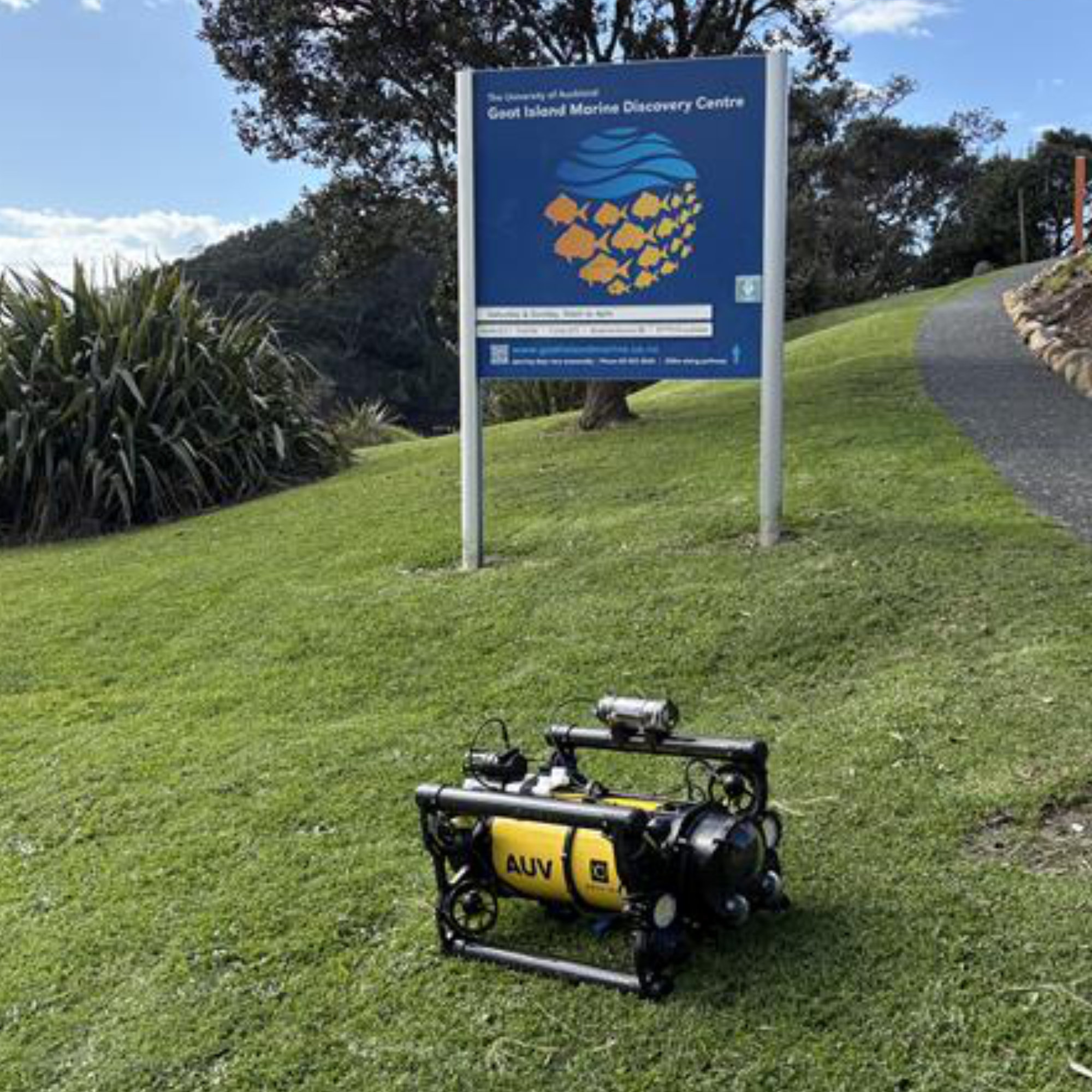 Autonomous AUV Coastal Survey: Boxfish Demonstrates Efficiency